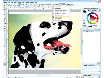 Avanquest Serif DrawPlus X4 (Upgradepaket inkl. Vorversion)