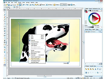 Avanquest Serif DrawPlus X4 (Upgradepaket inkl. Vorversion)